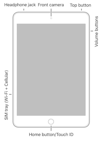iPad Buttons/Switches and Meanings